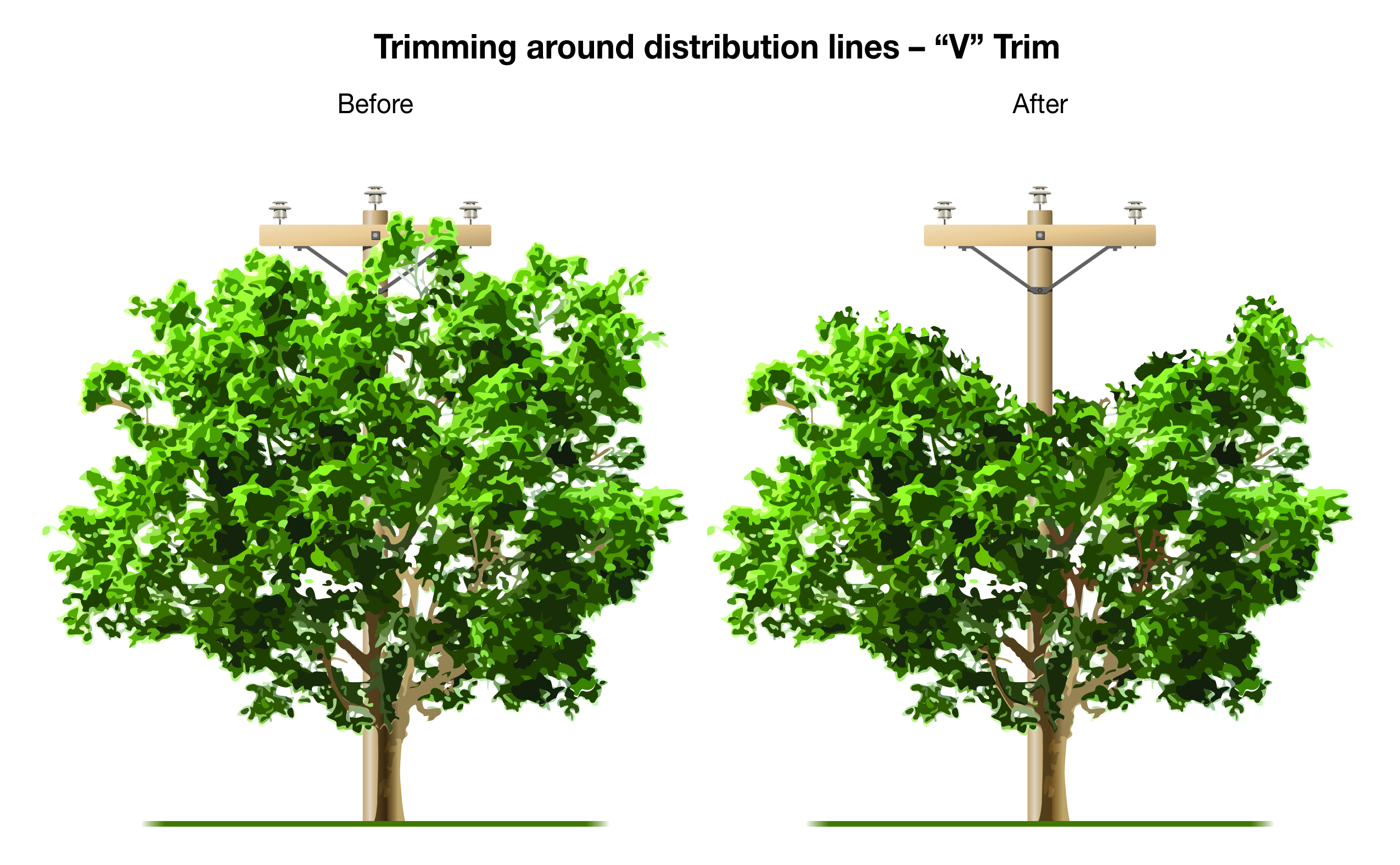 Trimming Zones | Hydro Ottawa